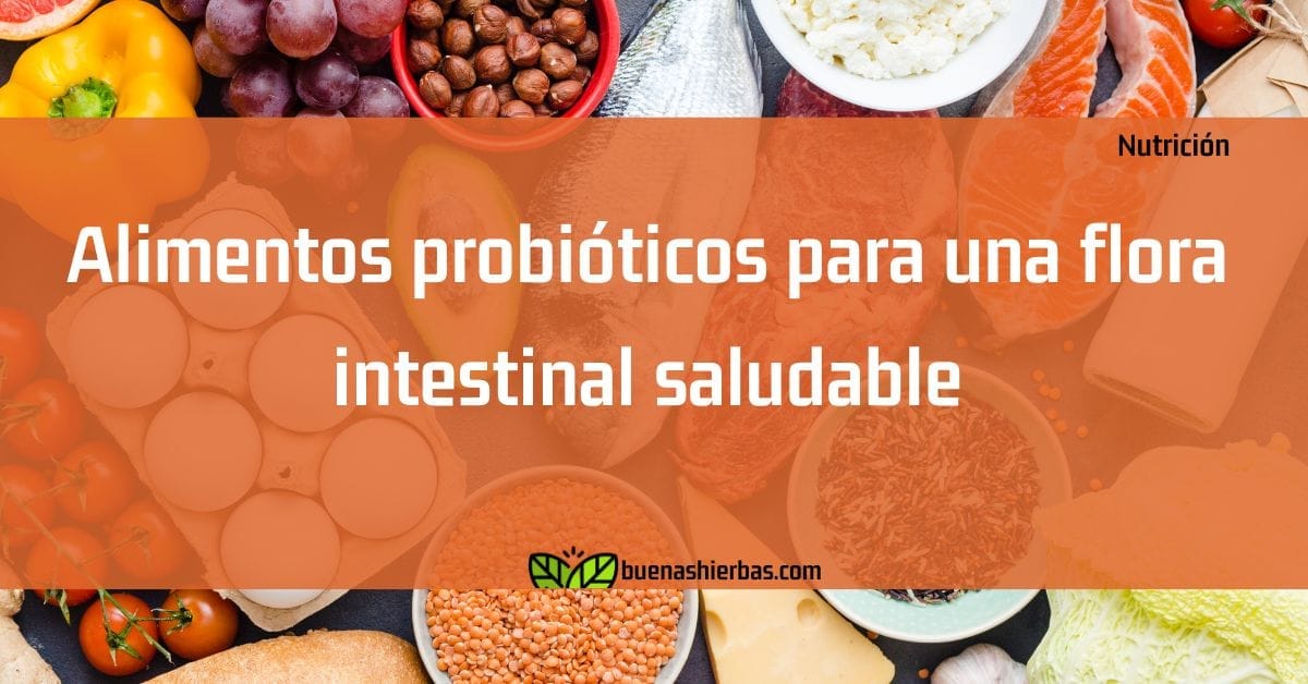 ᐅ Alimentos probióticos para una flora intestinal saludable ️