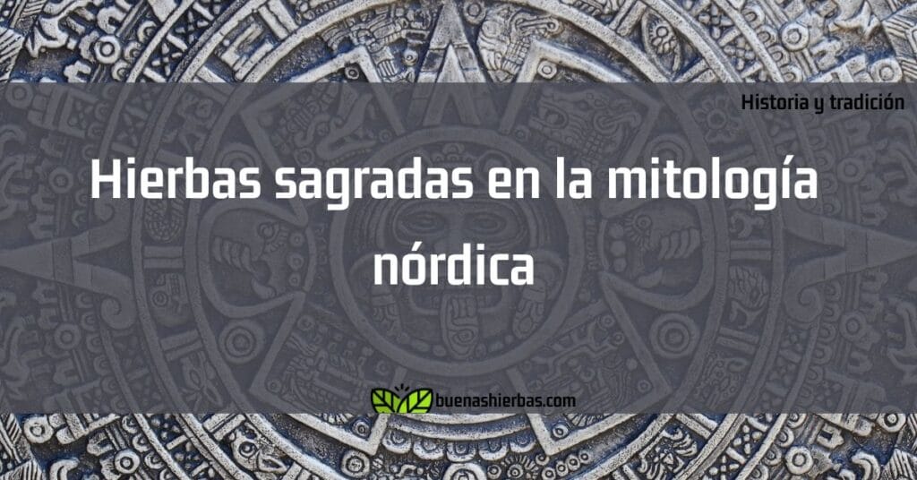 ᐅ Hierbas sagradas en la mitología nórdica ️